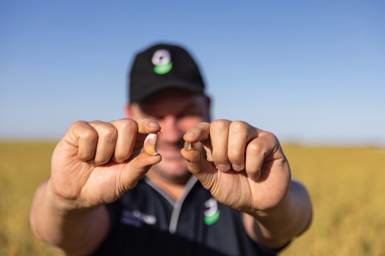 From Passion to Industry Titan: Behind Nick Diamantopoulos’ 30-year ...