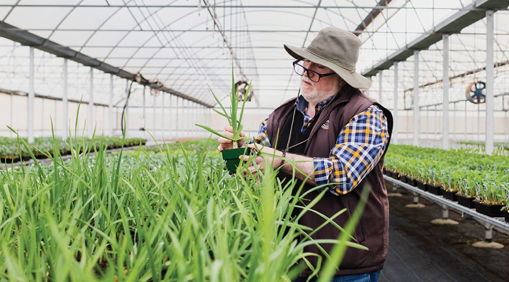 From Passion to Industry Titan: Behind Nick Diamantopoulos’ 30-year ...