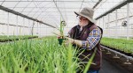 From Passion to Industry Titan: Behind Nick Diamantopoulos’ 30-year ...